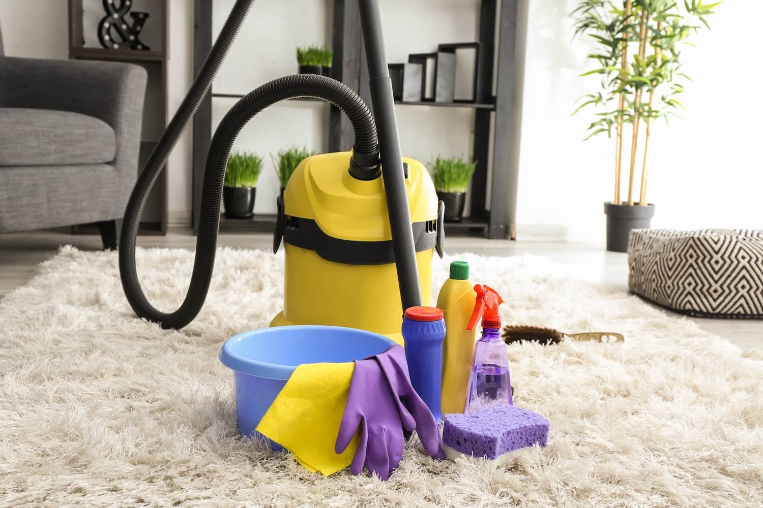 How To Get Playdough Out Of Carpet - All Coast Inspections