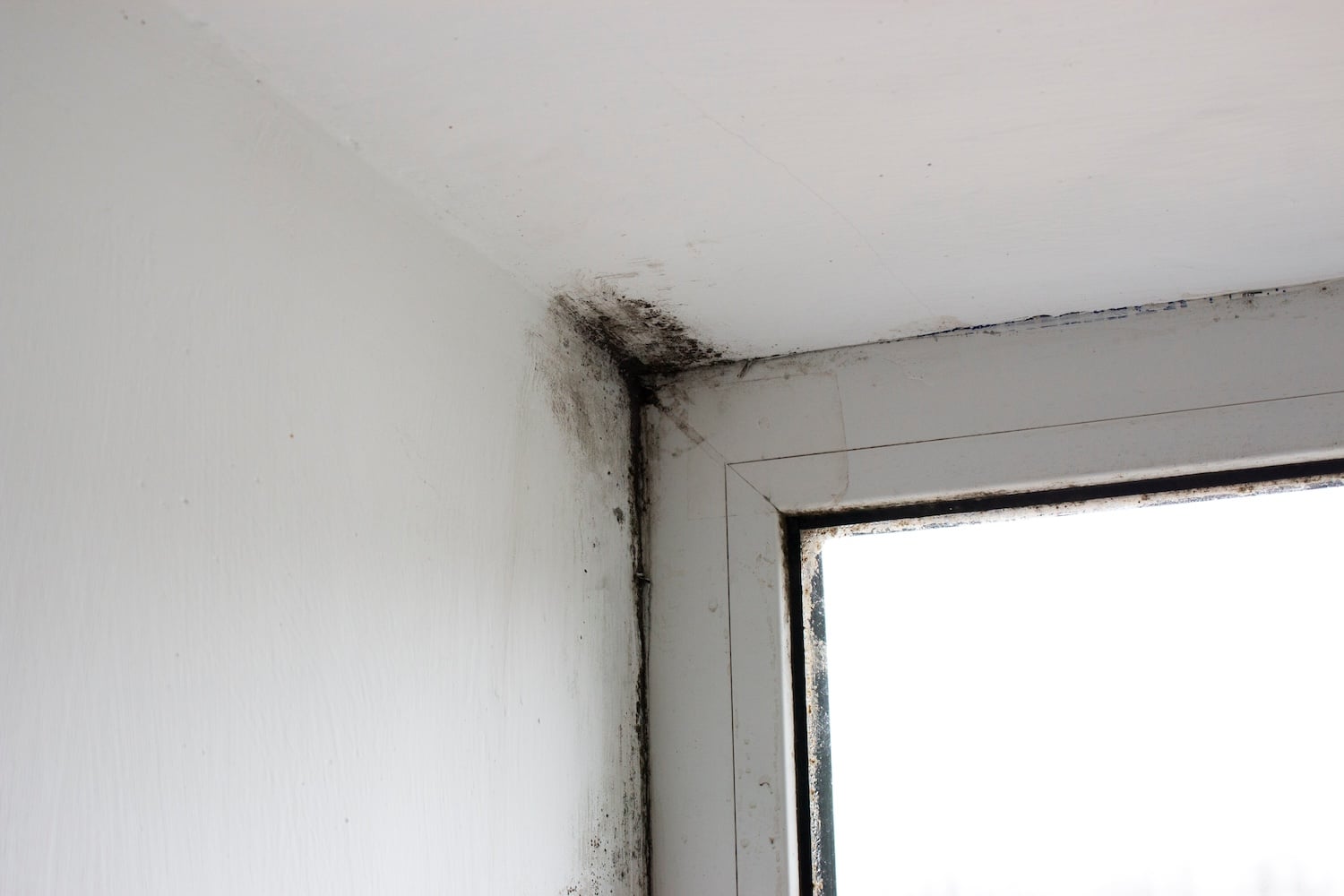 Is Your Bathroom Window Letting in More Than Just Light? - All Coast ...
