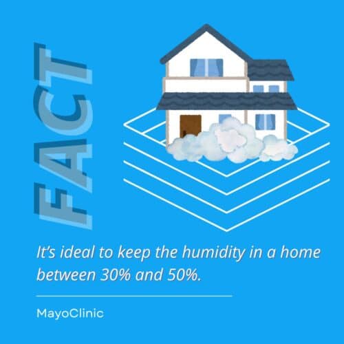 Most Reliable Ways to Decrease Humidity in Your Home - All Coast Inspections
